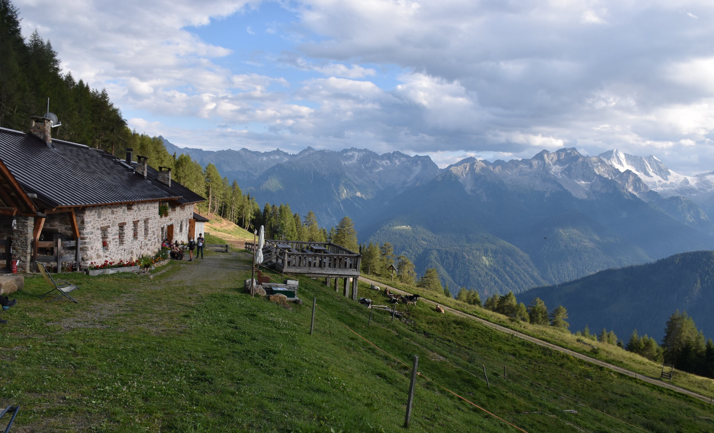 Museo NestAlp Malga Campo, Val di Peio Trentino