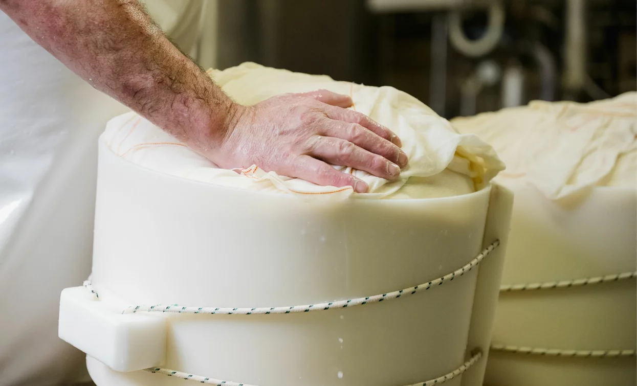 The scent of tradition: in the cheese vault