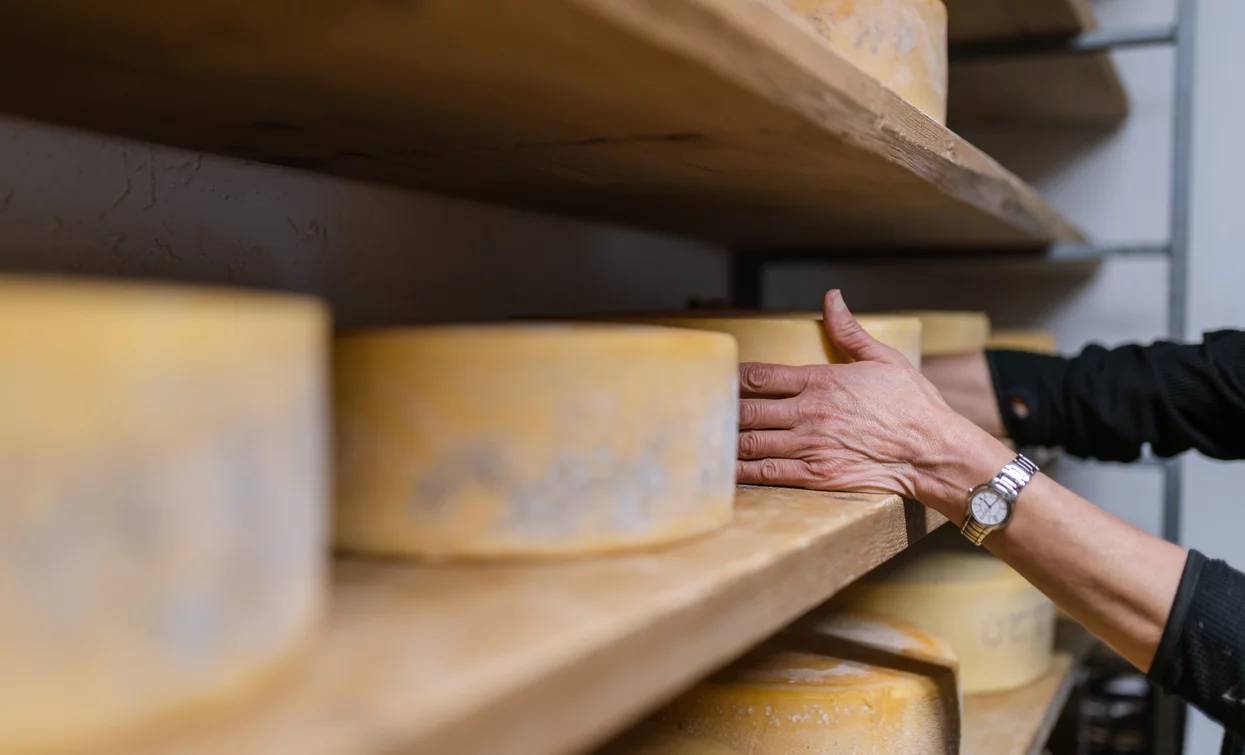 Con i 5 sensi tra formaggi e territorio, Val di Sole Trentino