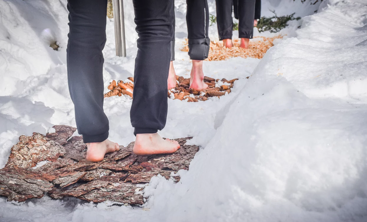 Barefooting in Val di Rabbi, Val di Sole Trentino