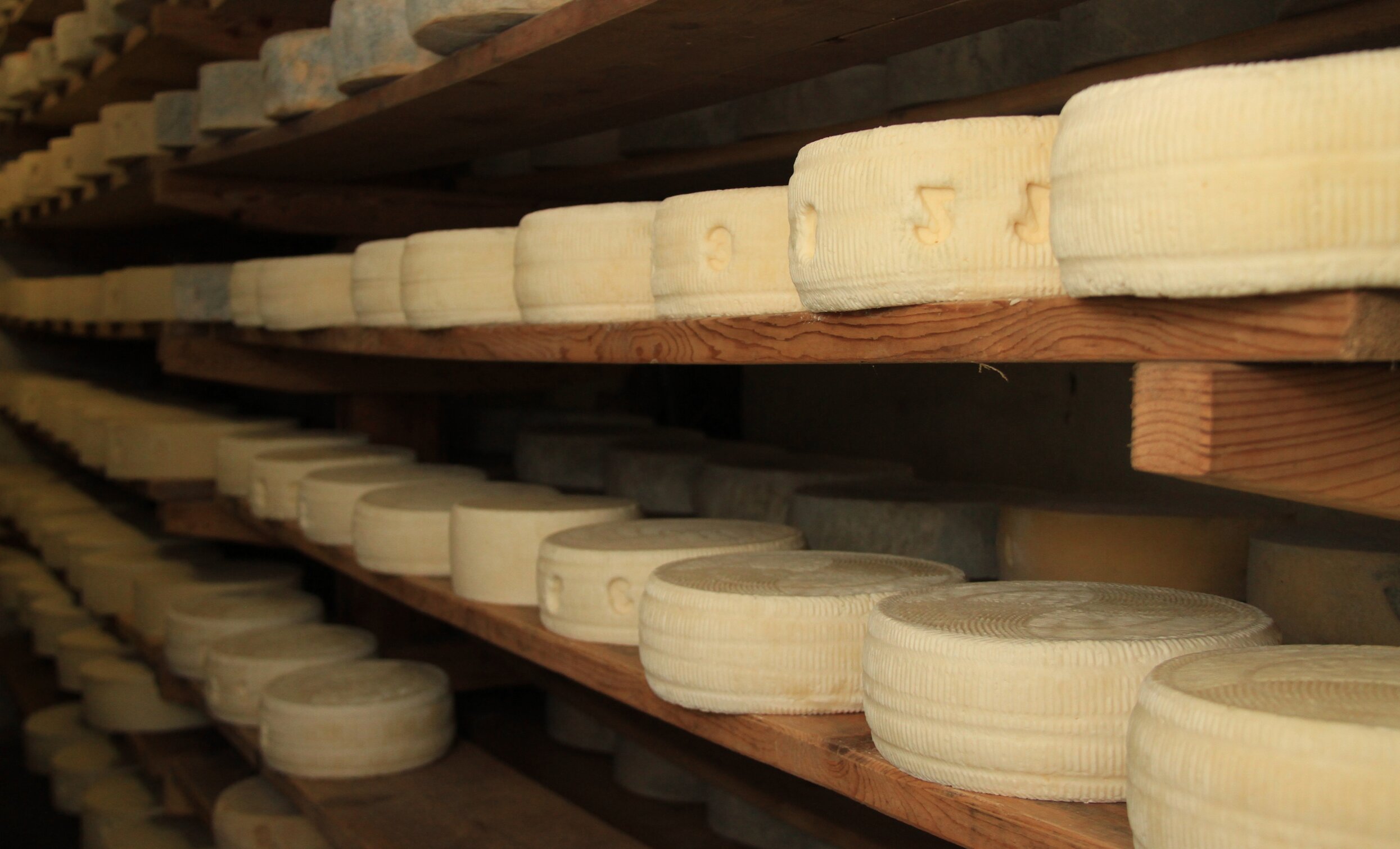 Caseificio Turnario Peio Paese, Val di Sole Trentino