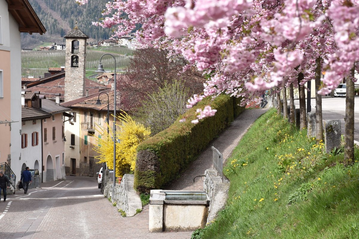 Caldes, Val di Sole, Trentino