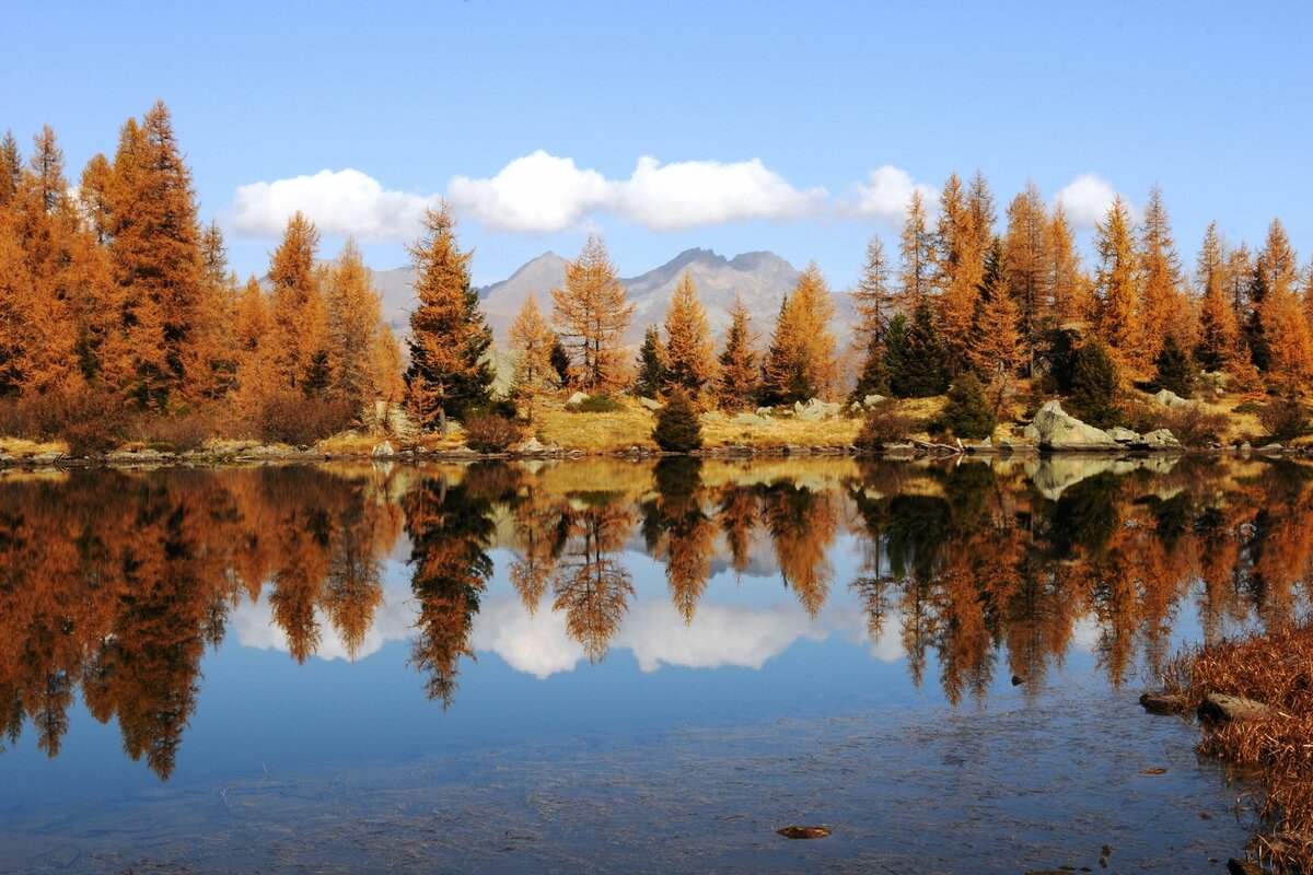 Marilleva Mezzana, Val di Sole Trentino
