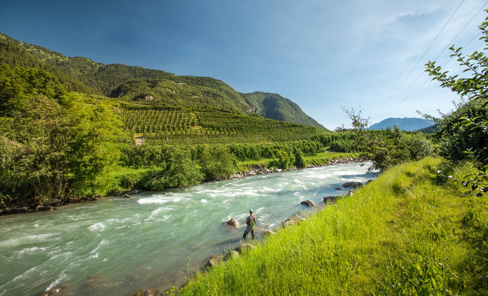 Noce River, Val di Sole Trentino