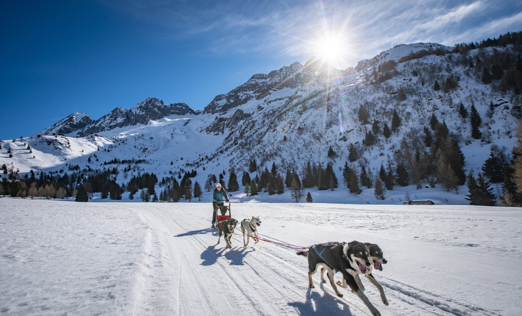 Val di Sole Trentino | Sito ufficiale della Val di Sole